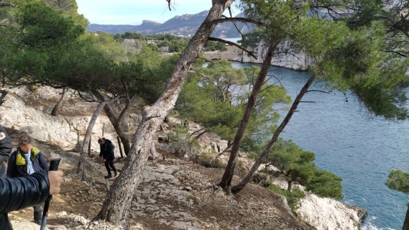 Cassis: 3 Calanques Half-Day Hiking Tour with Swimming - The Sum Up: Is This Tour Right for You?  
