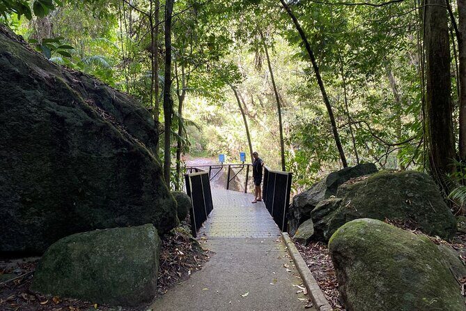 Cassowary Coast Goondoi Culture Tour - Final Thoughts: Who Will Love This Experience?  