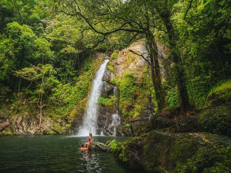 Cassowary Falls Adventure Tour - Daintree Rainforest - An Authentic Daintree Experience in Just 2.5 Hours