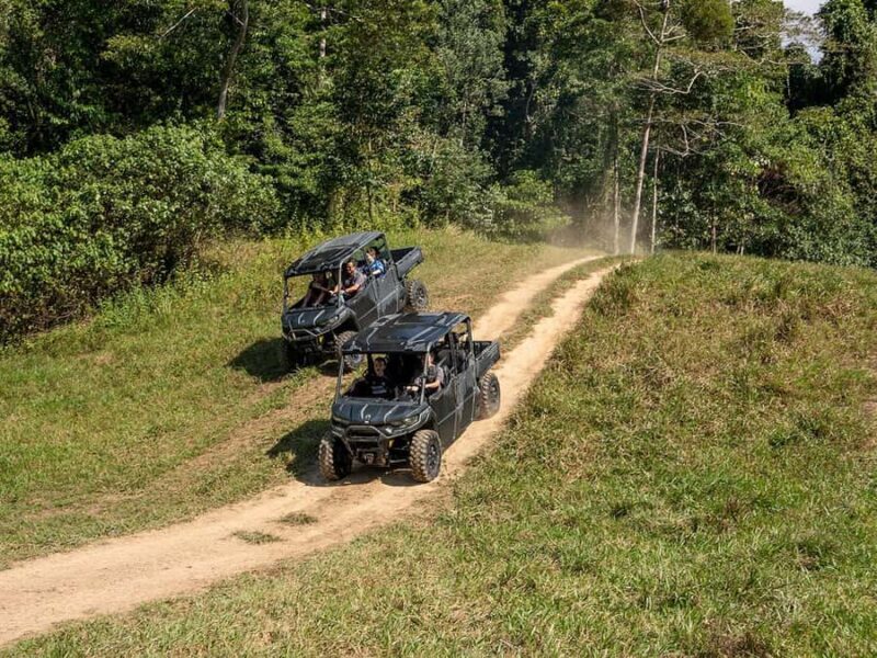 Cassowary Falls Adventure Tour - Daintree Rainforest - Practical Details and Logistics