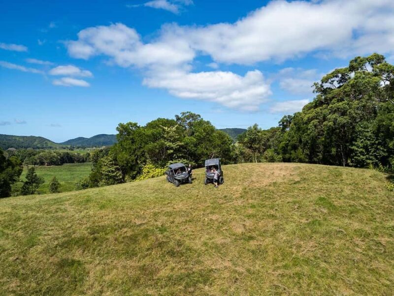 Cassowary Falls Adventure Tour - Daintree Rainforest - The Sum Up