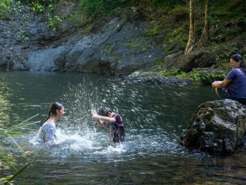 Cassowary Falls Adventure Tour - Daintree Rainforest - FAQ