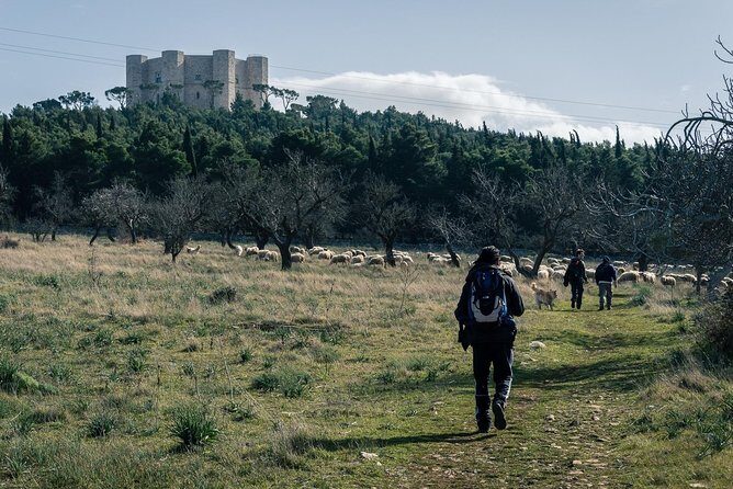 Castel del Monte: excursion in the Alta Murgia National Park - An In-Depth Look at the Tour Experience