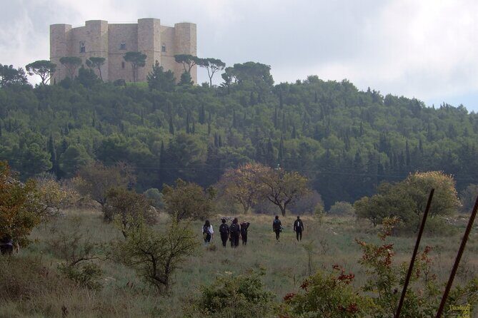 Castel del Monte: excursion in the Alta Murgia National Park - Final Thoughts