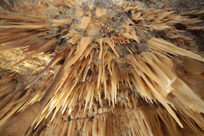 Castellana Grottoes: Official Guided Tour with Entry Ticket - An In-Depth Look at the Castellana Grottoes Tour