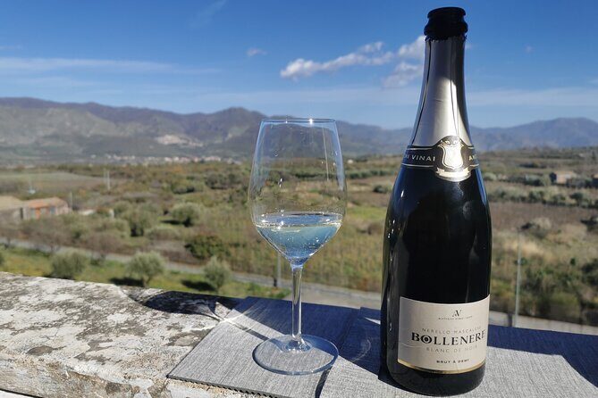 Castelmola and Etna Wine Tasting Tour from Messina - Introduction