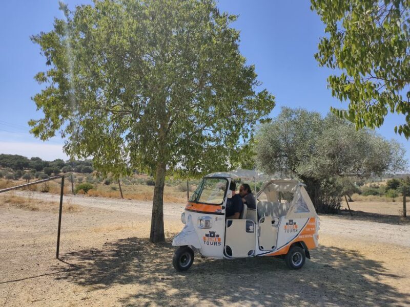 Castelo Branco City Tour - Key Points