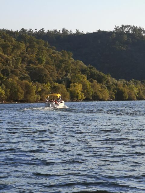 Castelo Branco: Portas de Ródão Natural Monument Boat Trip - A Complete Guide to the Portas de Ródão Boat Trip