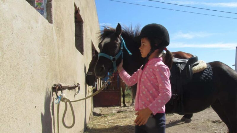 Castelsardo: horseback in Sedini - Real Experiences and Honest Insights