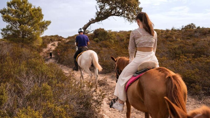 Castelsardo: horseback in Sedini - Who Should Consider This Tour?