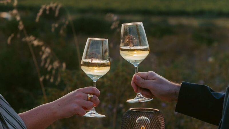 Castelsardo: visit a vineyard with wine tasting at sunset - Why Choose This Tour?