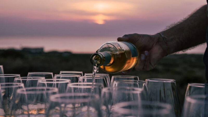 Castelsardo: visit a vineyard with wine tasting at sunset - Final Thoughts