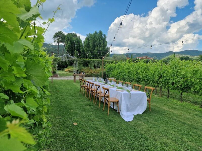 Castiglion Fiorentino: Tour, Tasting & Charcuterie Board - Final Thoughts