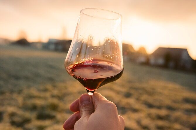 Castle & Wine Tasting - Private Day Trip from Zagreb - Authentic Experiences and Highlights