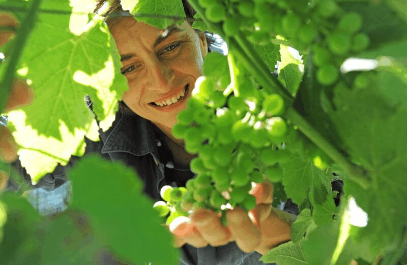 Castle Winery Tour & Tasting near Lake Maggiore - Discovering the Castle Winery Tour & Tasting near Lake Maggiore