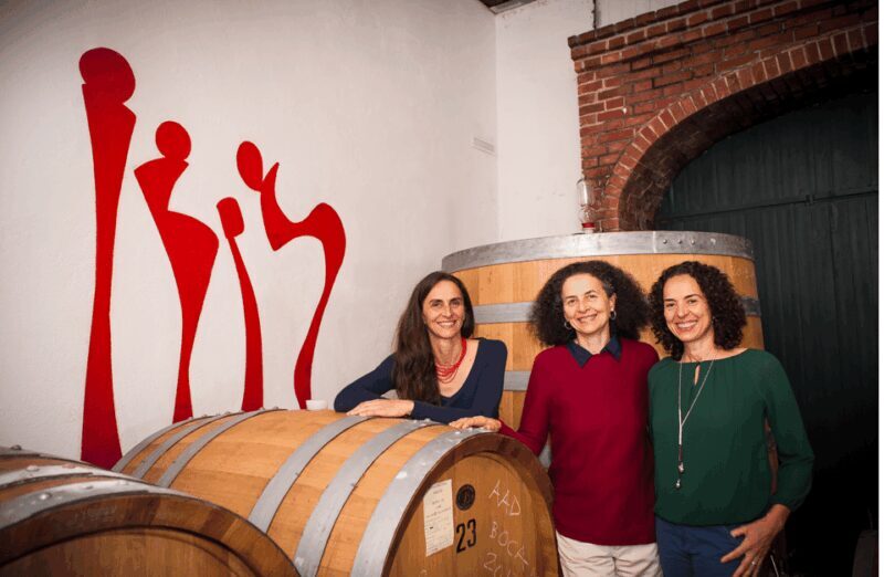 Castle Winery Tour & Tasting near Lake Maggiore - Who Will Love This Tour?