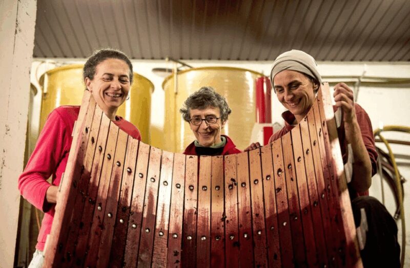 Castle Winery Tour & Tasting near Lake Maggiore - Final Thoughts