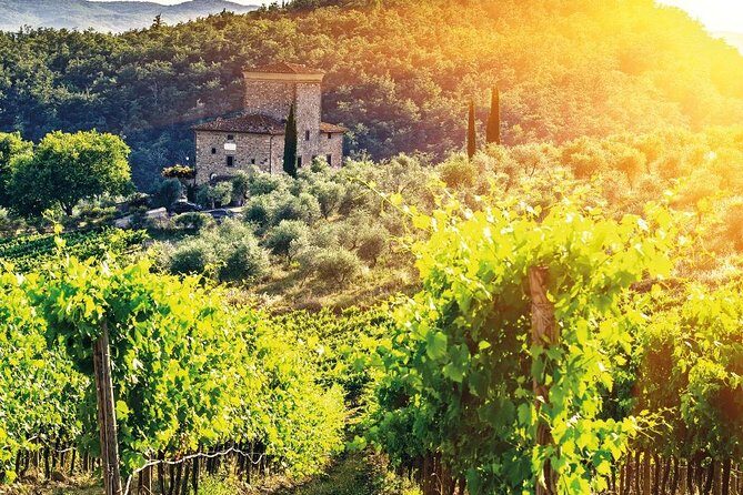 Castles & Chianti Wine Experience Small Group from San Gimignano - Pricing and Value