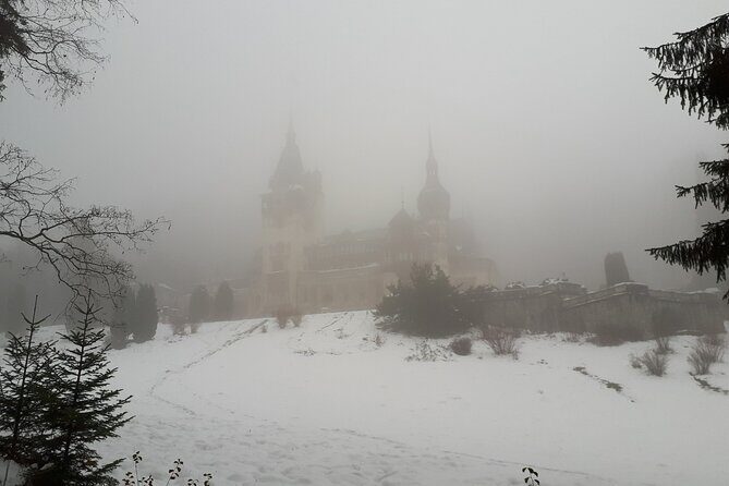 Castles Private Tour Peles - Bran - Rasnov from Brasov - A Deep Dive into the Itinerary