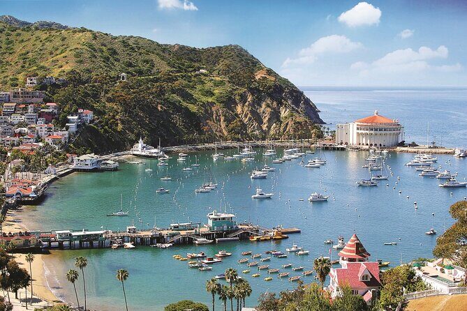 Catalina Express: Avalon to San Pedro One-Way Ferry - Final Thoughts