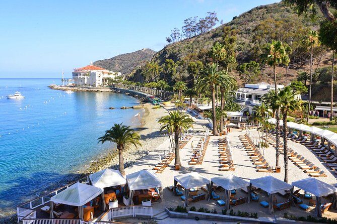 Catalina Express: San Pedro to Avalon One-Way Ferry - Who Should Consider This Tour?