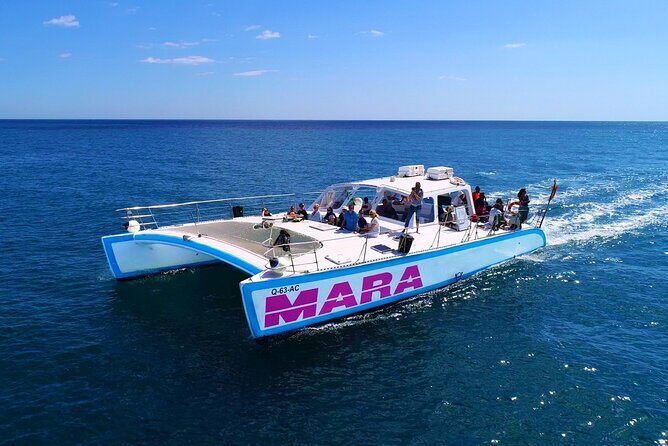 Catamaran Cruise: Caves and Coastline to Benagil - The Sum Up