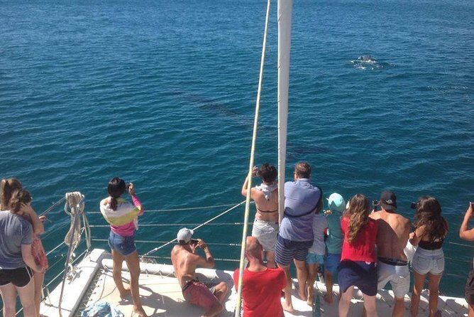 Catamaran Cruise in Lagos - Final Thoughts: Is It Worth It?