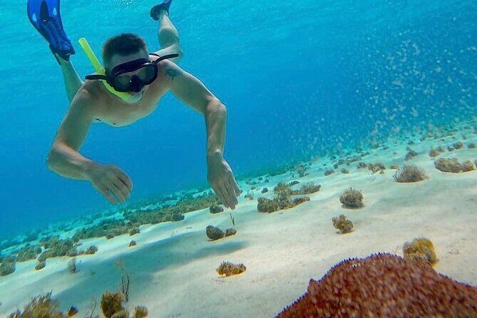 Catamaran Cruise to Cozumel Reefs + Water Park Fun - FAQs