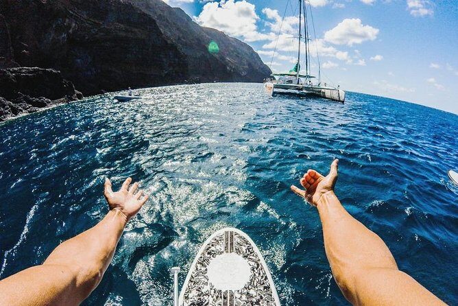 Catamaran Day Cruise to Desertas Islands from Funchal - What is the Catamaran Day Cruise to Desertas Islands?