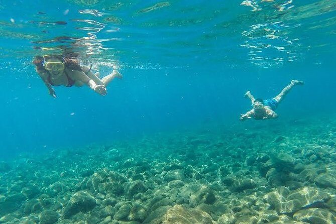 Catamaran Day Cruise to Desertas Islands from Funchal - The Food: Madeira Buffet Lunch