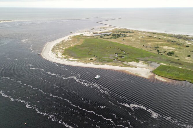 Catamaran Dolphin Cruise in Myrtle Beach with Barrier Island Stop - Final Thoughts: Is It Worth It?