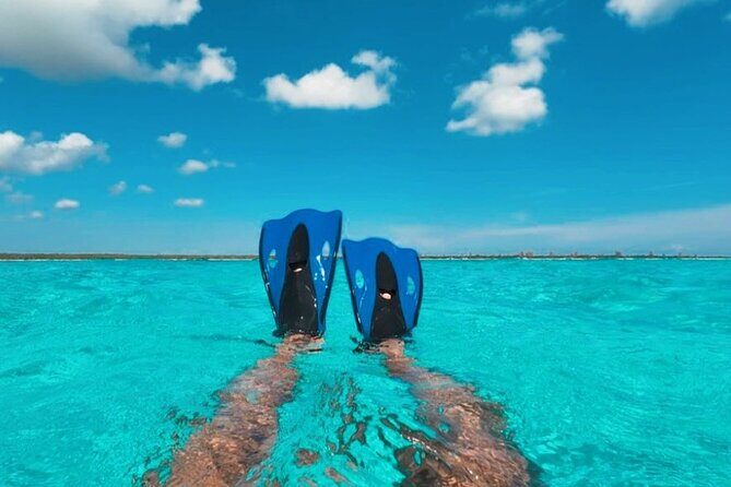 Catamaran in Cozumel with snorkeling at El Cielo and open Bar - Who Is This Tour Perfect For?