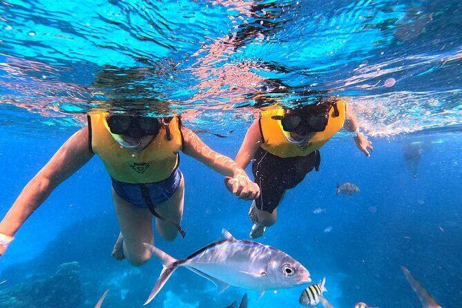 Catamaran in Cozumel with snorkeling at El Cielo and open Bar - The Sum Up: Is It Worth It?