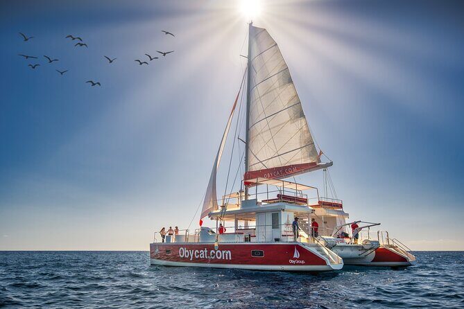 Catamaran Obycat Gran Canaria Tour - Introduction: A Taste of Gran Canaria’s Coastal Charm