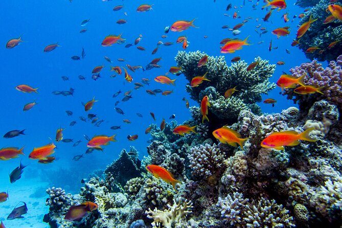 Catamaran On Islas Marietas - With Open Bar - What Reviewers Say