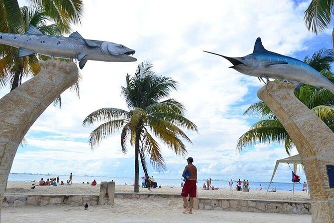 Catamaran Party on the Caribbean Sea to Isla Mujeres - Who Should Book This Tour?
