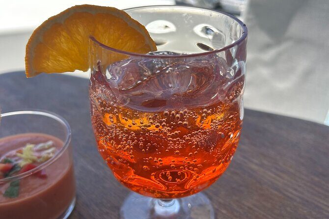 Catamaran Sailing Experience Manilva Tapas Drink Dolphins Swim Stop - Key Points 