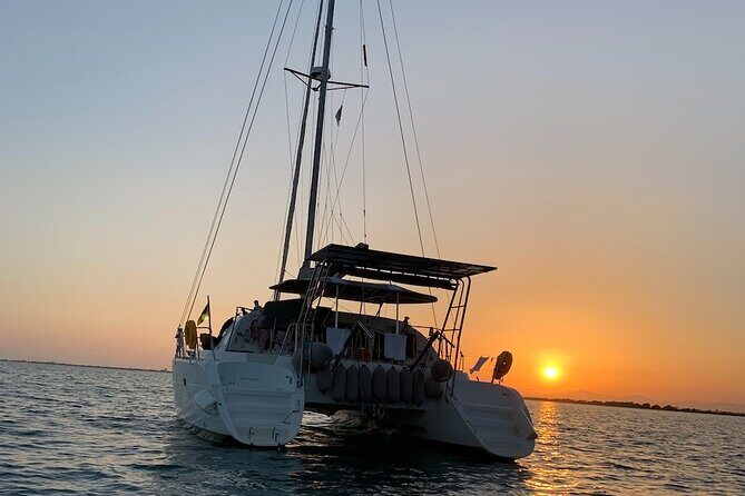 Catamaran Sailing Experience Manilva Tapas Drink Dolphins Swim Stop - The Dolphin Spotting Opportunity
