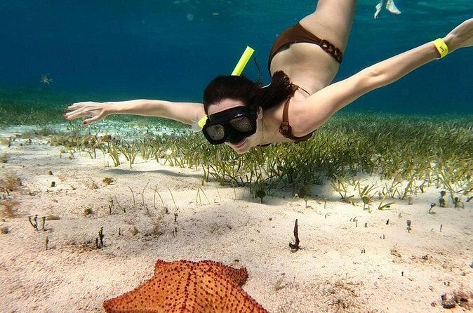 Catamaran Sky Tour in Cozumel - The Sum Up