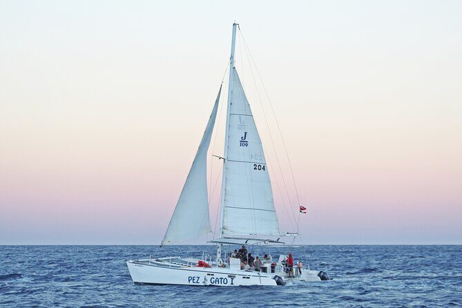Catamaran Snorkel at Los Cabos! Gorgeous Snorkel & Party + Round Transportation - Why This Tour Offers Great Value