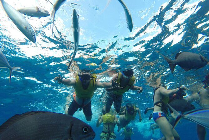 Catamaran Snorkeling to El Cielo and The Money Bar Beach Club - Authentic Experiences from Reviews