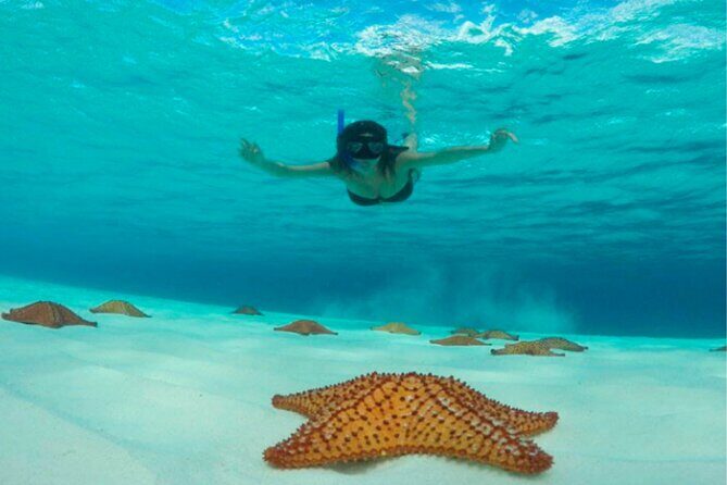 Catamaran Snorkeling to El Cielo and The Money Bar Beach Club - Price and Value