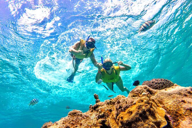 Catamaran Snorkeling to El Cielo and The Money Bar Beach Club - Final Thoughts