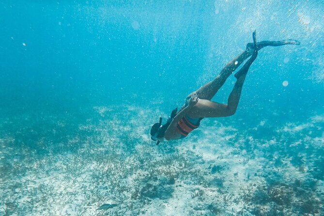 Catamaran Tour to Isla Mujeres Cancun - The Sum Up