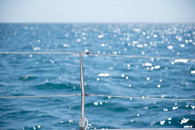 Catamaran tour with swimming stop in Malaga - What We Loved Based on Reviews