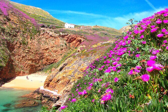 Catamaran trip to Berlengas Island + visit to the caves - Final Thoughts