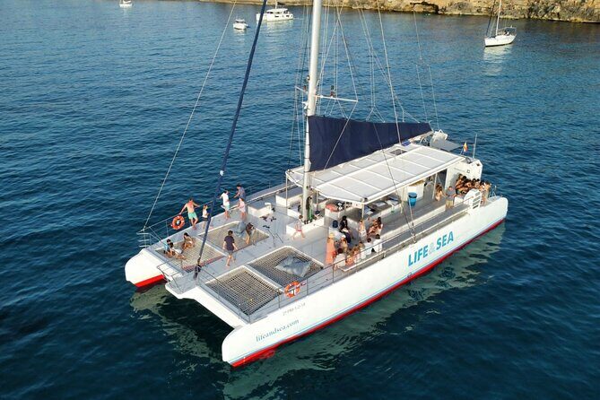 Catamaran with BBQ in the Bay of Palma - Who Will Love This Trip?