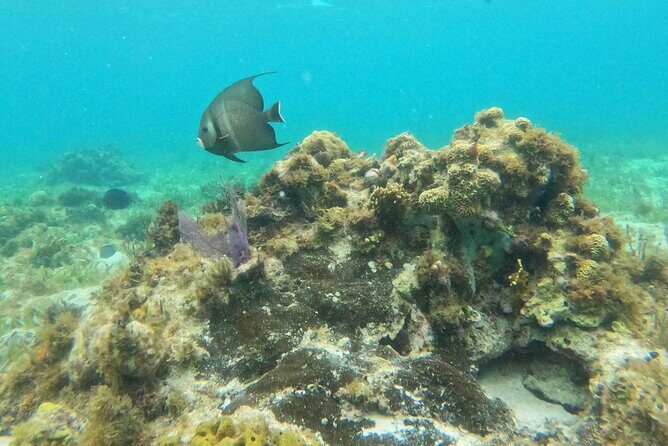 Catamaran with Snorkeling and Playa Norte Beach, Isla Mujeres - Final Thoughts