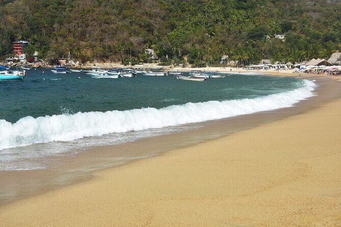 Catamaran Yelapa Beach Tour with Snorkeling, Food and Open Bar - Who Will Love This Tour?