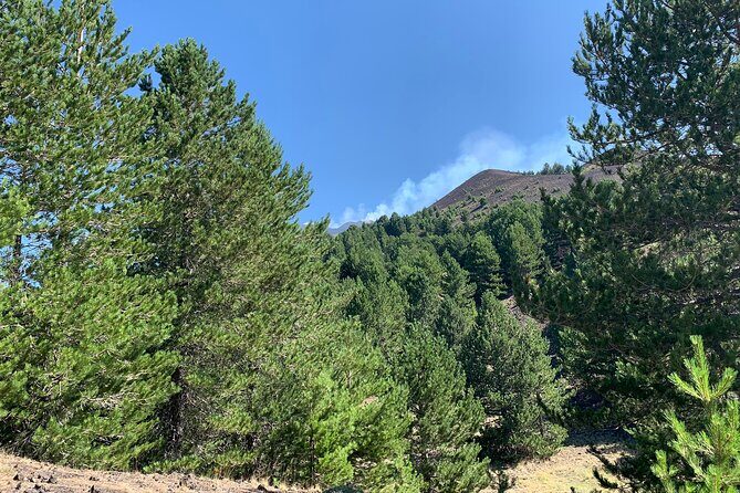 Catania: Etna & Food Jeep Tour - What Does the Tour Include and Its Value?